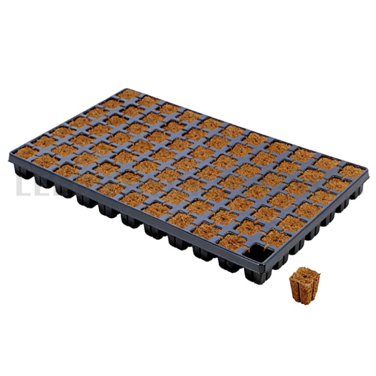 Eazy Plug – 77 Cell Tray – Leeds Hydroponics | UK's Best Hydroponics ...