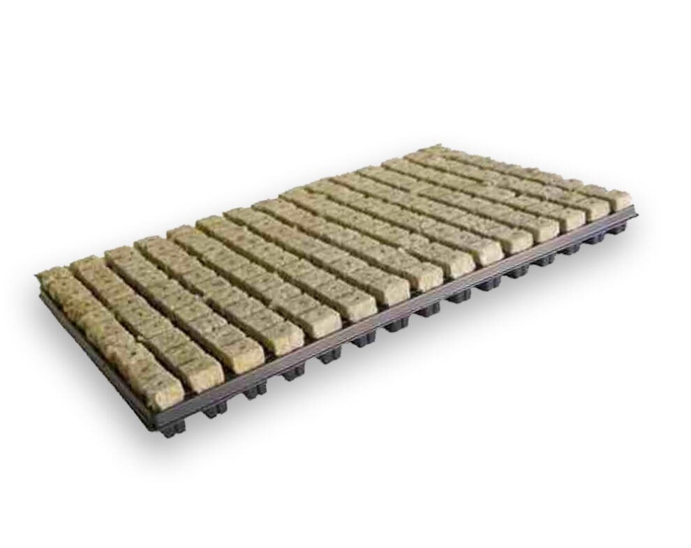 Rockwool Cubes 1″ – Tray of 150 – Leeds Hydroponics | UK's Best ...